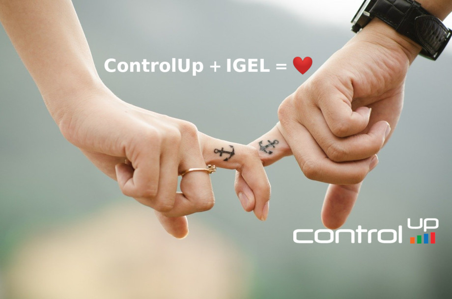 ControlUp + IGEL = ️ - Prianto Knowledge